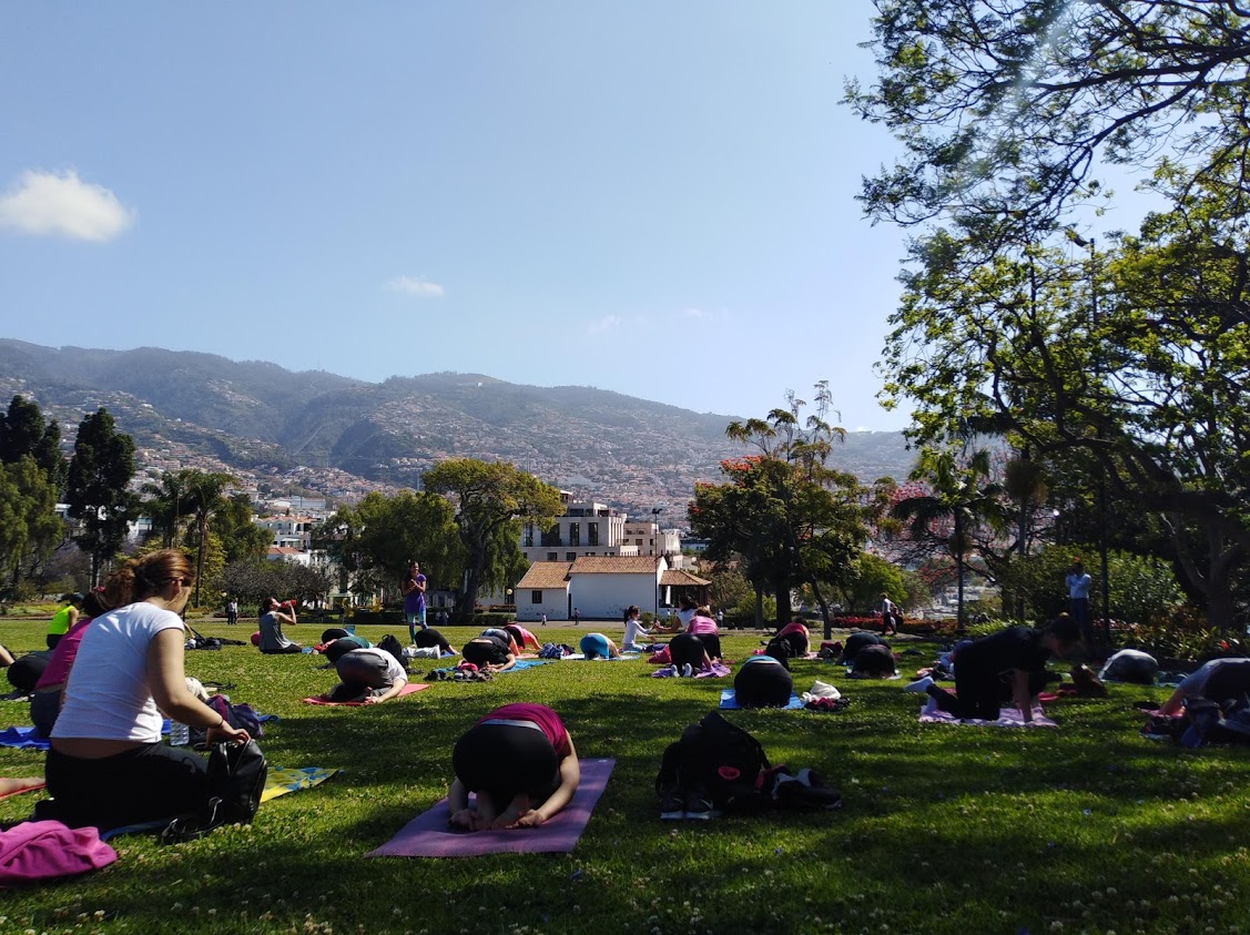 Behomie: experiencias en Madeira - Blog